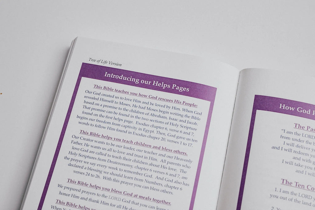 TLV Bible: Young Readers Edition – Tree of Life Bible Society