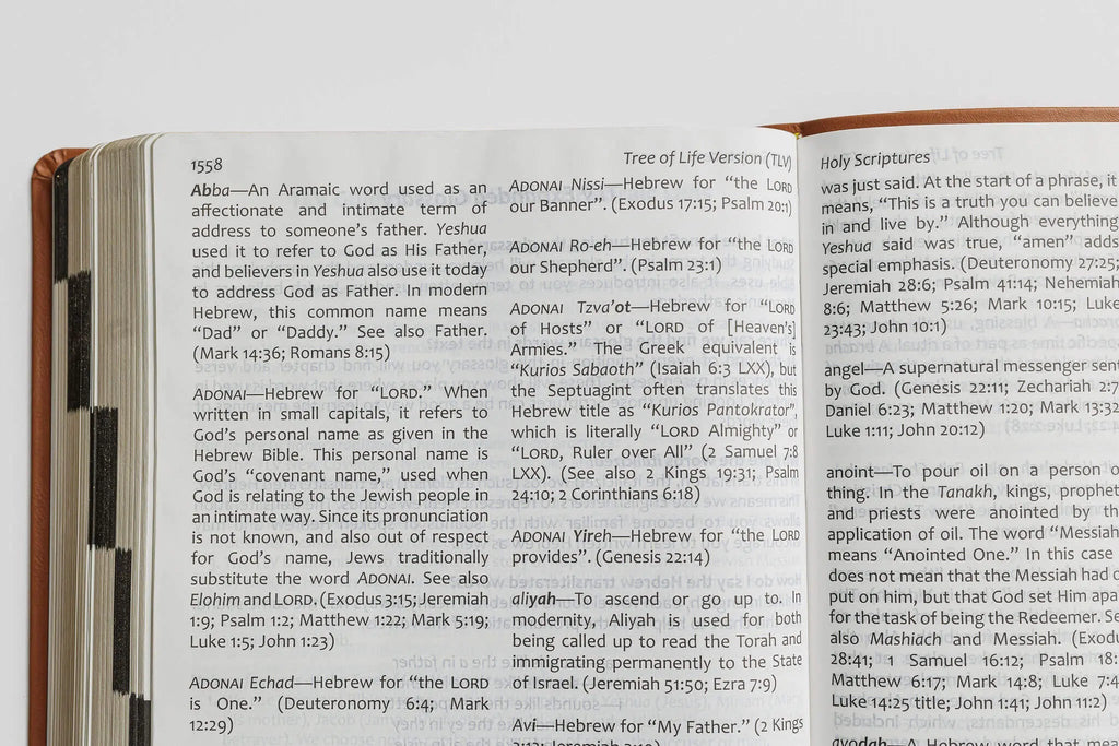 Tree of Life Bible: GIANT Print Edition – Tree of Life Bible Society