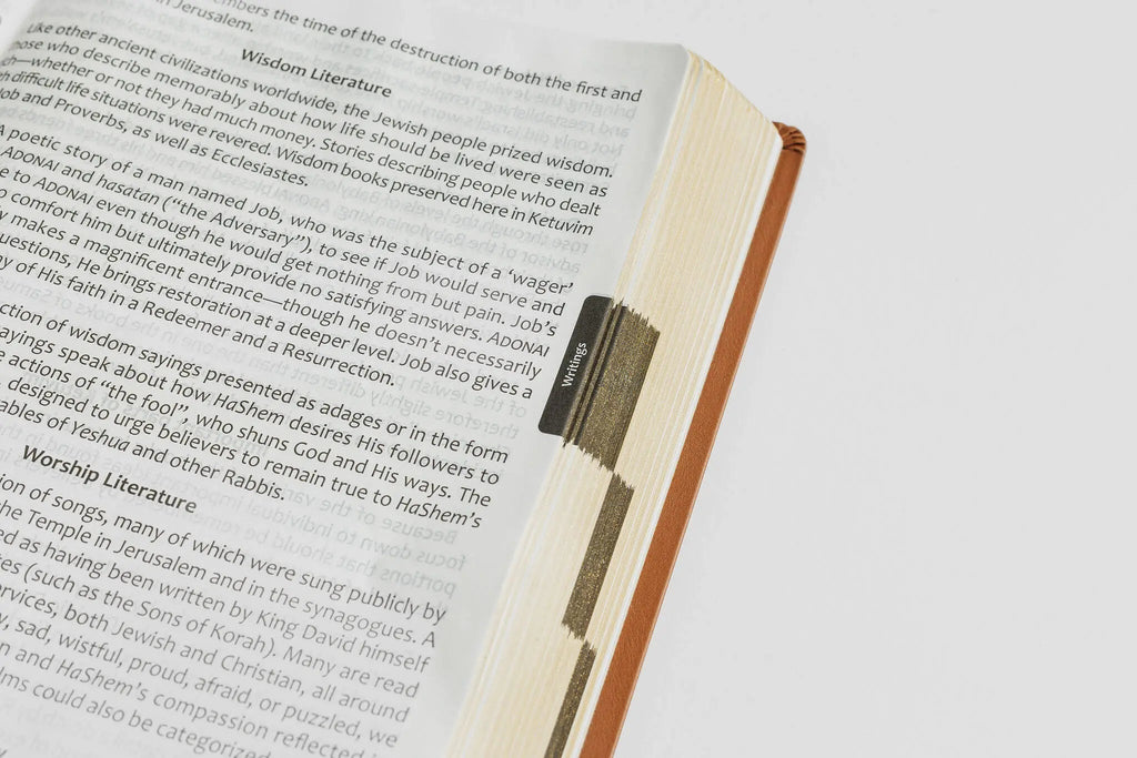 Tree of Life Bible: GIANT Print Edition – Tree of Life Bible Society