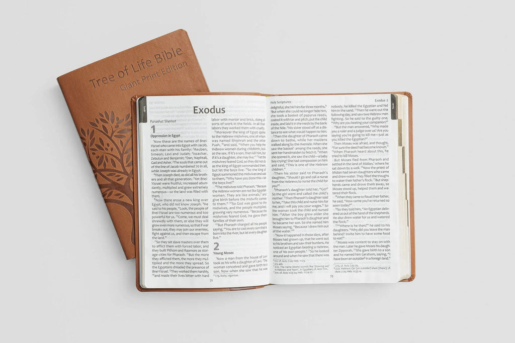 Tree of Life Bible (TLV) | Official Messianic Jewish Translation – Tree ...